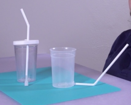 Nosey Cup and Sip and Tip Cup